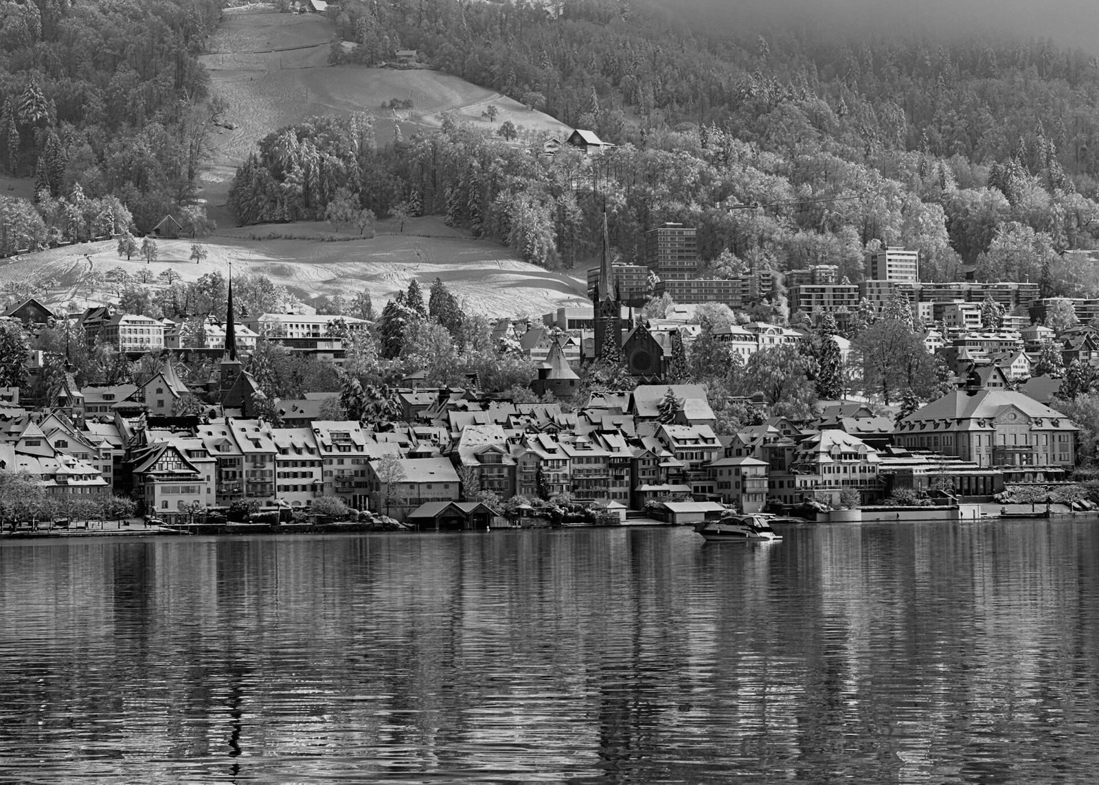 Exploring Our Digital Footprint: A Gallery of Success Stories - Swiss ...